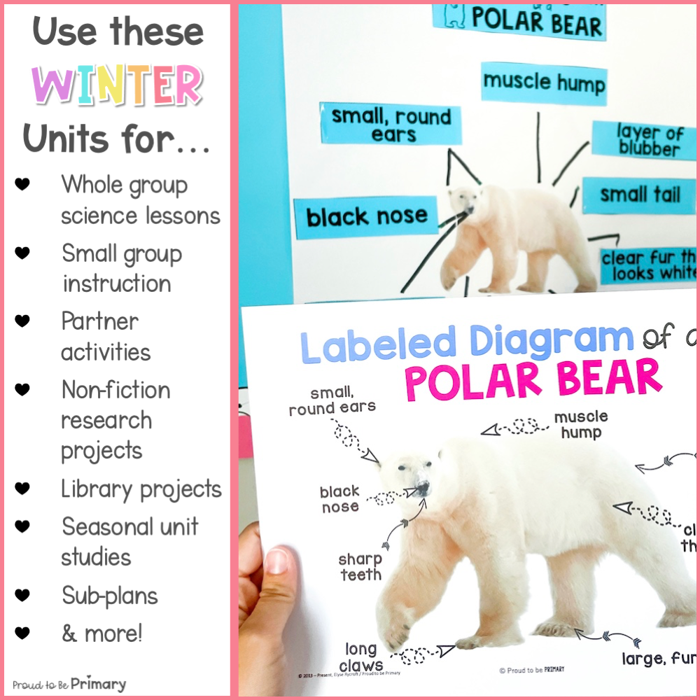 Winter Life Science Units - Polar Bears, Penguins Worksheets Activitie ...