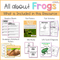 Frog Tadpole Life Cycle Craft Spring Writing Directed Drawing - All Ab