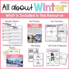 Winter Science, Reading, Writing, Craft Activities - Snow Flake Snowma