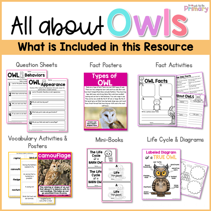 Owl Fall Unit, Science, Reading, Writing Activities, Craft, Barn Owls