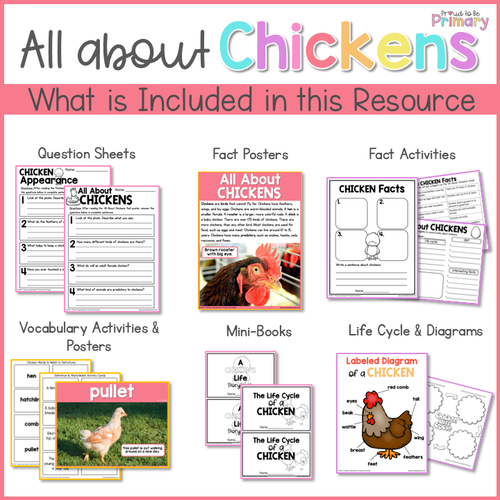 All About Chicken Hatching Eggs Life Cycle Craft Spring Chick Writing