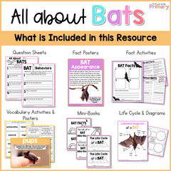 All About Bats Fall Unit - Bat Fact Life Cycle Activities Science Writ