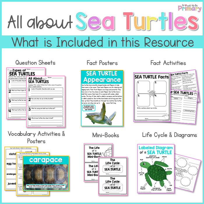 Sea Turtle Reptile Animal Science & Non-Fiction ELA Unit