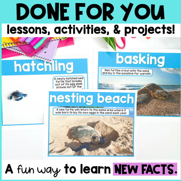 Sea Turtle Reptile Animal Science & Non-Fiction ELA Unit – Proud to be ...