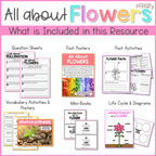 Parts of a Plant Life Cycle, Spring Flower Craft, Writing Activities P
