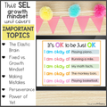 Growth Mindset Brain Digital Lesson Slides & Activities, Posters, Sort