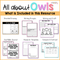 Owl Fall Unit, Science, Reading, Writing Activities, Craft, Barn Owls