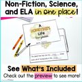 Summer Sunflowers Starfish Bees Life Cycle Craft Vocabulary Science Ac