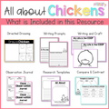 All About Chicken Hatching Eggs Life Cycle Craft Spring Chick Writing