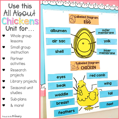 All About Chicken Hatching Eggs Life Cycle Craft Spring Chick Writing