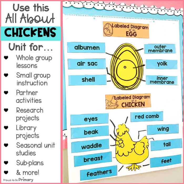 Chicken Non-Fiction ELA & Animal Science Unit