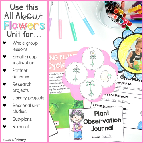 Parts of a Plant Life Cycle, Spring Flower Craft, Writing Activities P