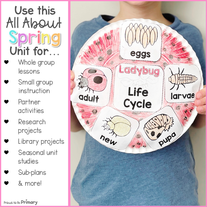 Spring Rainbow Plant Ladybug Life Cycle Craft Vocabulary Science Activ