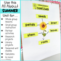 Summer Sunflowers Starfish Bees Life Cycle Craft Vocabulary Science Ac