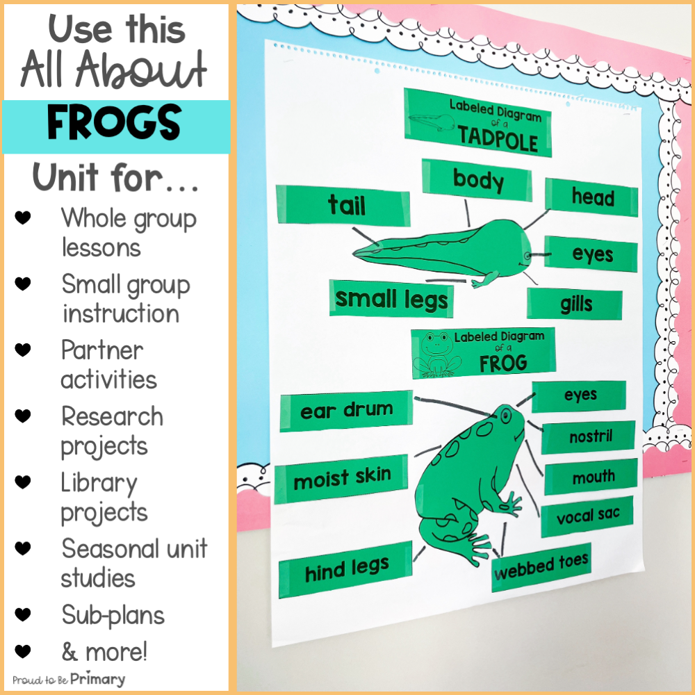 Frog Amphibian Non-Fiction ELA & Science Unit – Proud to be Primary