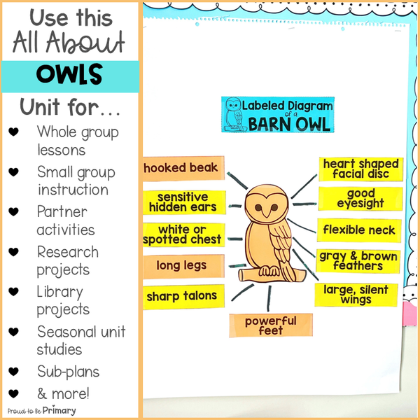 Owl Fall Unit, Science, Reading, Writing Activities, Craft, Barn Owls