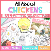 All About Chicken Hatching Eggs Life Cycle Craft Spring Chick Writing