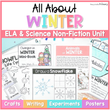 Winter Science, Reading, Writing, Craft Activities - Snow Flake Snowma