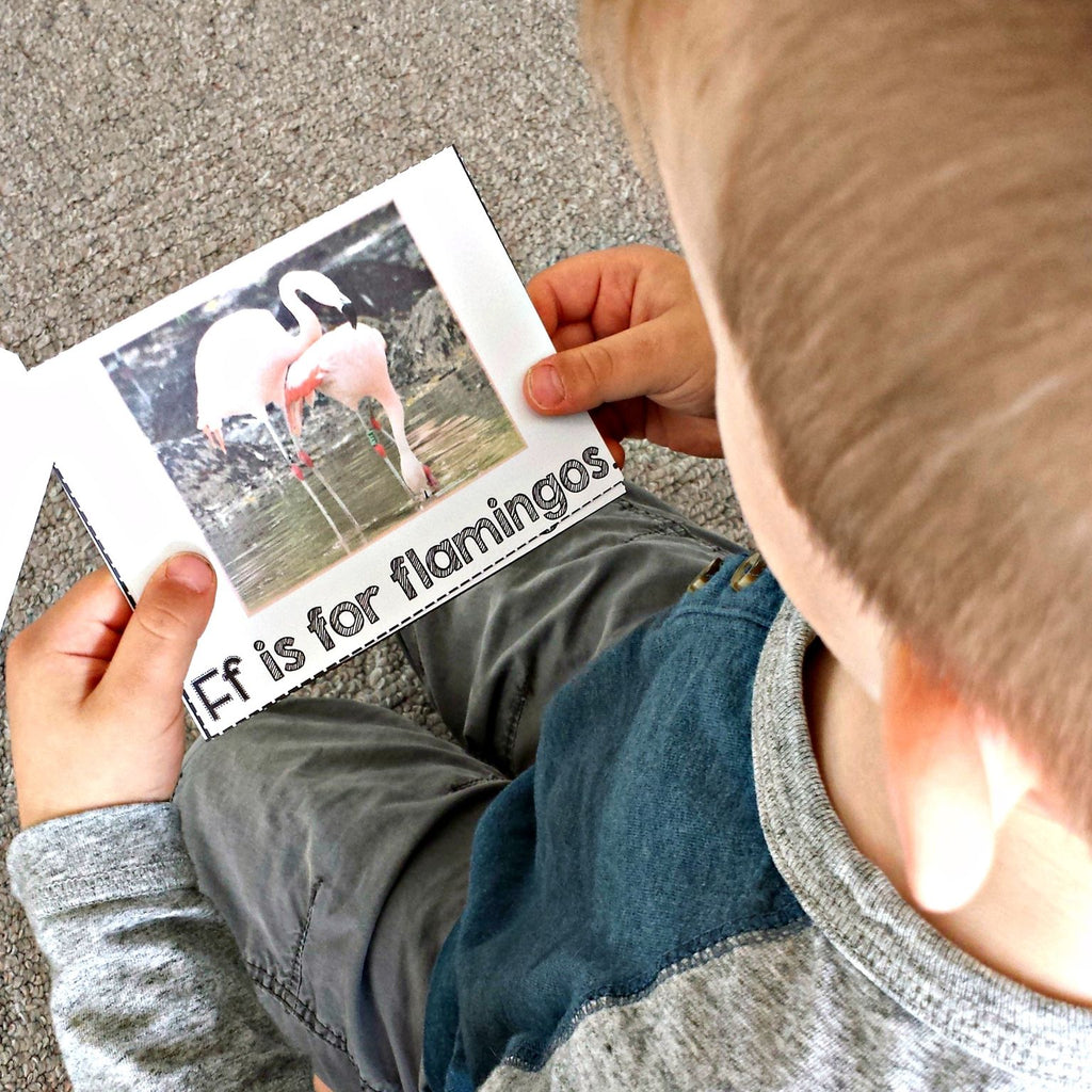 Alphabet Non-Fiction Mini Story Books – Proud to be Primary