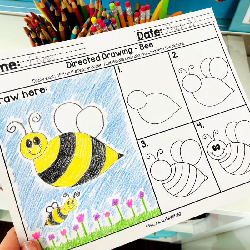 June End of Year Directed Drawing - Father’s Day, Sea Turtle, Honey Bee
