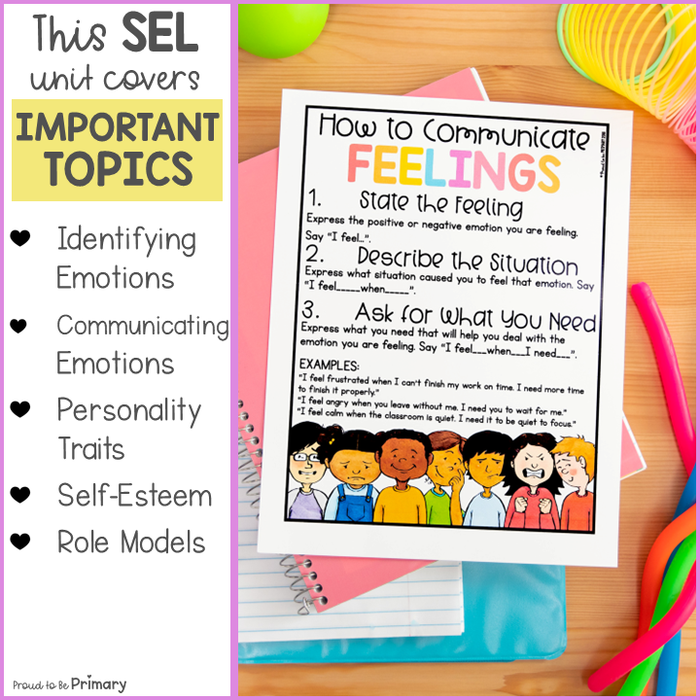 Emotional Regulation - Feelings Poster Check In, SEL Activities & Bull