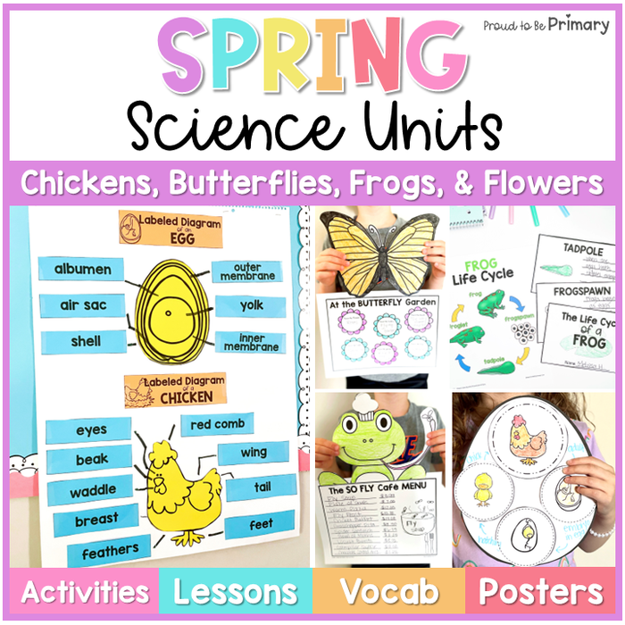 Butterfly, Chicken, Frog, Flower Life Cycle Crafts & Spring Science Ac